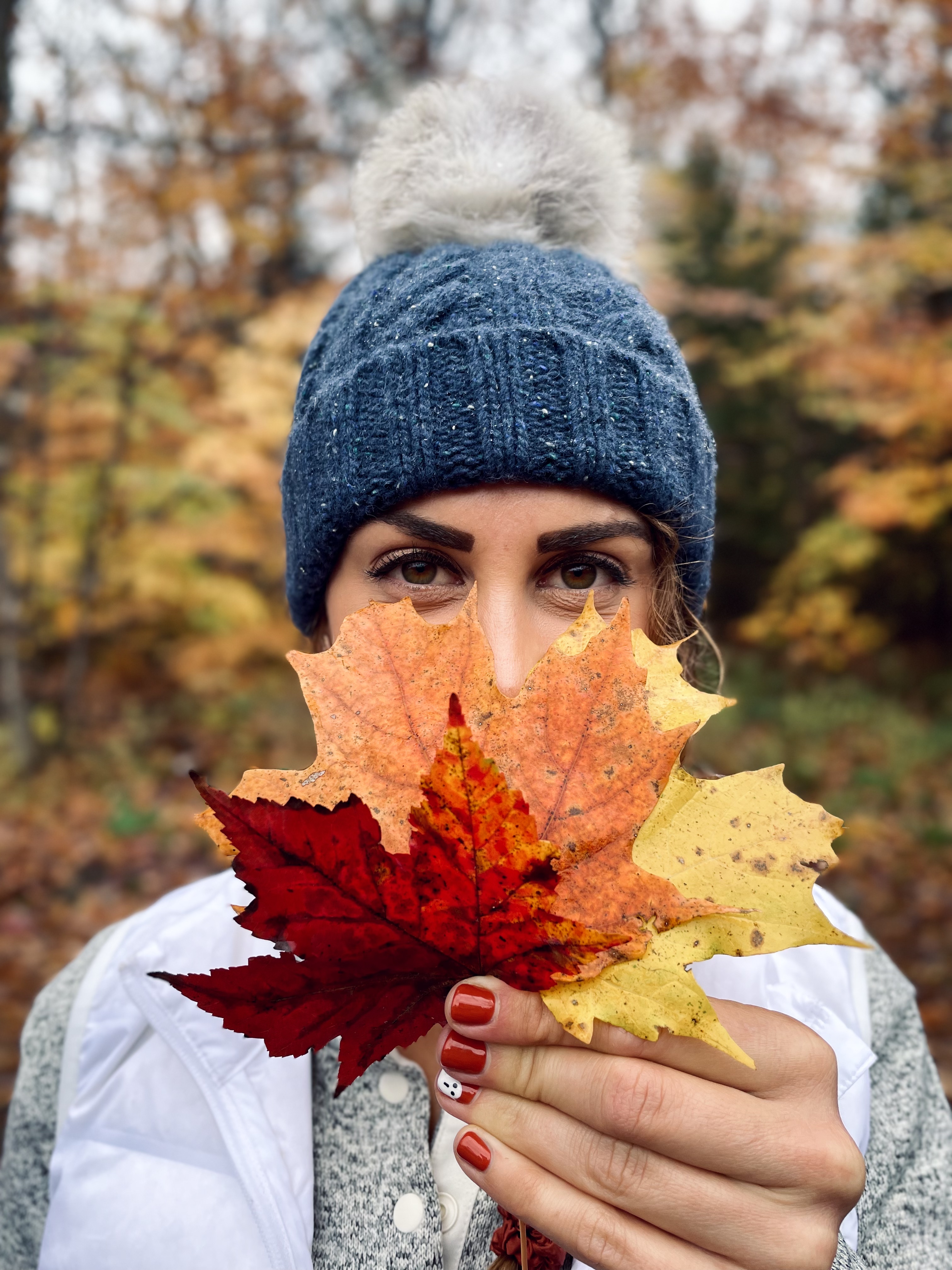 Fall Foliage in Burlington, VT – The Plane Kate